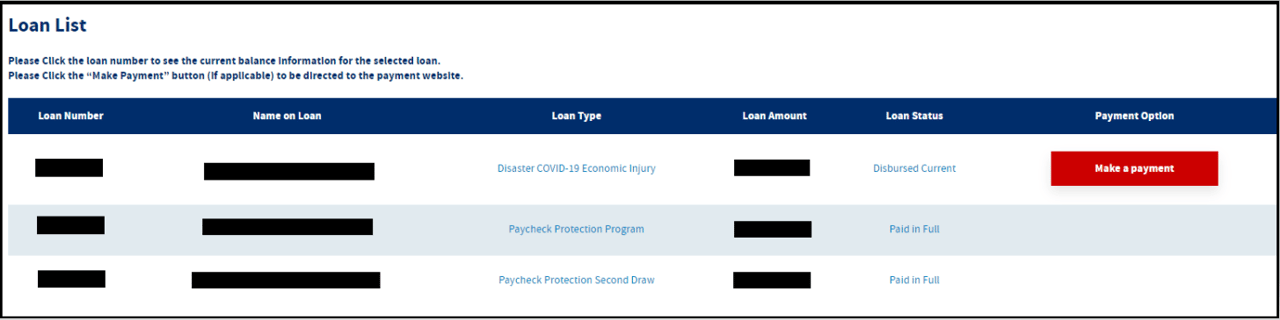 Where Can I See My SBA EIDL Balance and Set up a Payment Schedule?